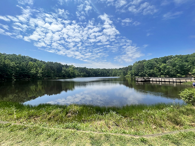 The original corner office with a view. Crowders Mountain offers the kind of perspective that makes Monday's problems seem delightfully insignificant.