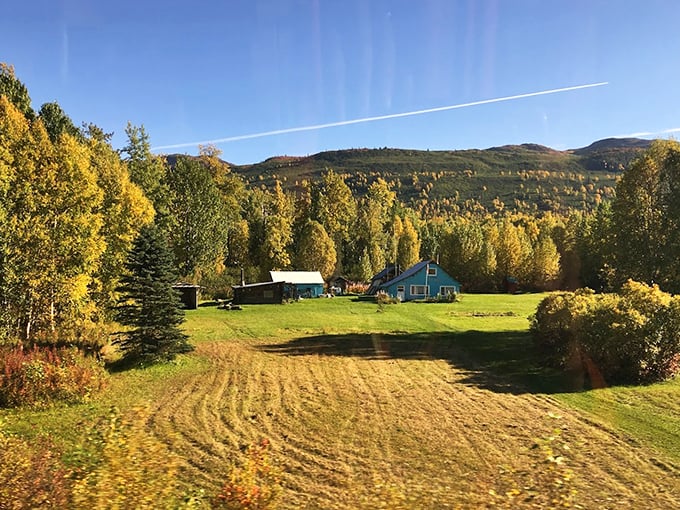 Fall's paintbrush turns this Alaskan homestead into a golden paradise. Somewhere over that rainbow is probably another rainbow.