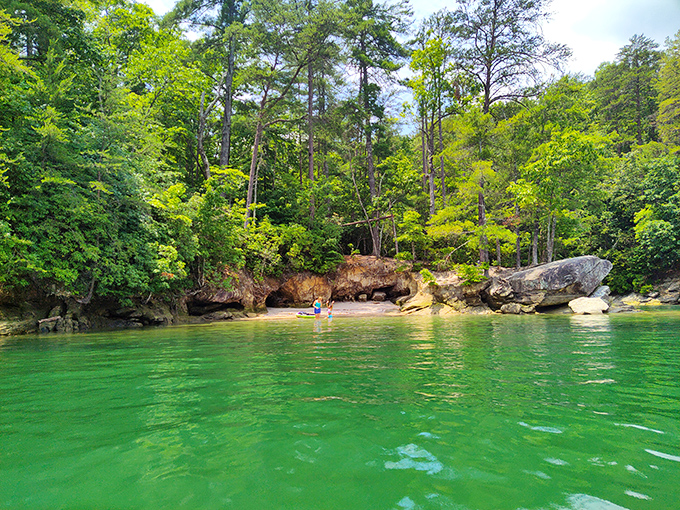 Now that&rsquo;s nature&rsquo;s version of a hidden cove&mdash;calm waters, whispering pines, and just enough mystery to feel like an adventure movie opening scene.