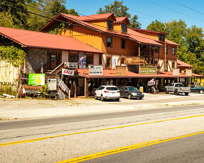 Mountain living gets real when your biggest decision is which scenic route to take home.
