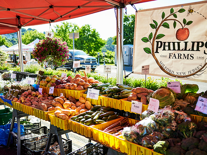 When mushrooms look this good, you know the farmers take serious pride in their craft.