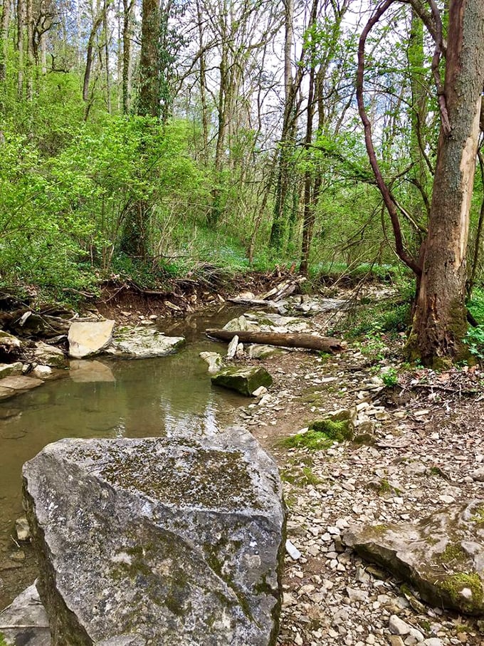 This tranquil picnic area at Fort Boonesborough offers shady respite and a connection to Kentucky's pioneering past.