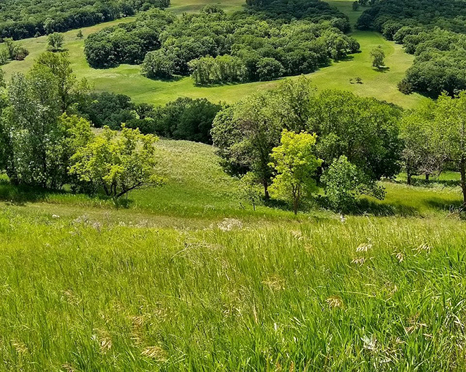 Rolling prairie hills unfold like nature's quilt&mdash;each patch telling a different story of wind, rain, and time.
