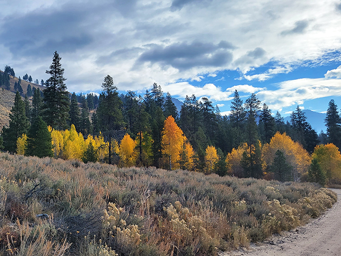 The forested backdrop of Grangeville promises adventure without the adventure-sized price tag that usually comes with mountain towns.