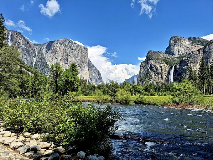 Yosemite's granite cliffs tower beyond the meadow like nature's own cathedral, free admission and absolutely worth the view.