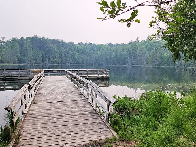 The path to tranquility! Hartwick's misty morning boardwalk invites you to leave your worries at the trailhead.