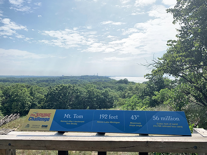 Mt. Tom at Indiana Dunes offers breathtaking views at just 192 feet. The Midwest's version of Everest, minus the oxygen tanks!