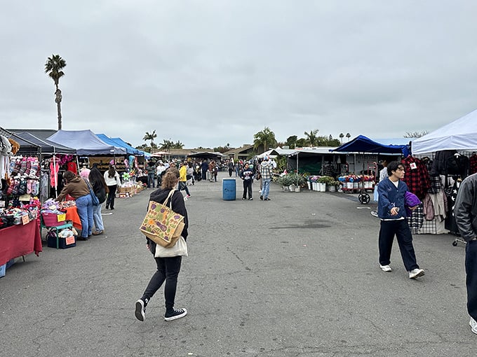 The gentle curve of vendor booths creates a shopper's yellow brick road, leading to who-knows-what wonderful finds.