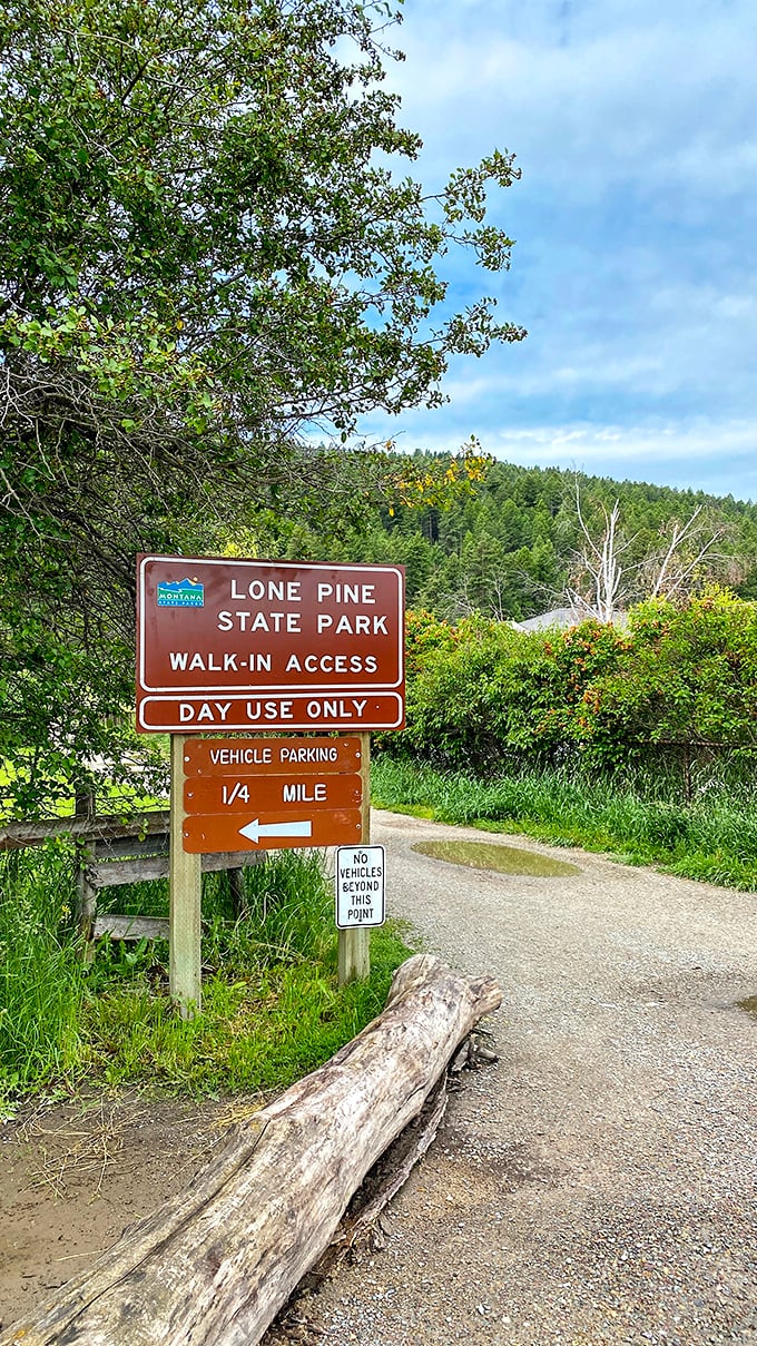 A lakeside retreat hidden among the pines. This quiet camping spot at Lone Pine feels like your own private slice of Montana.