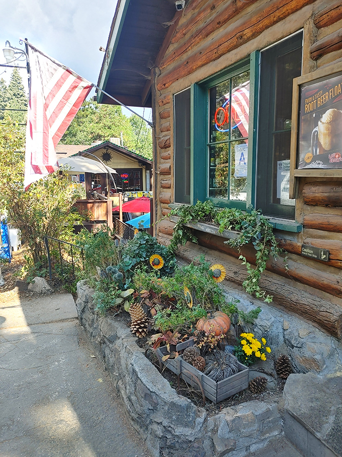 A slice of Americana with a side of sunflowers—LouEddie's cabin exterior invites you into a mountain pizza experience unlike any other.