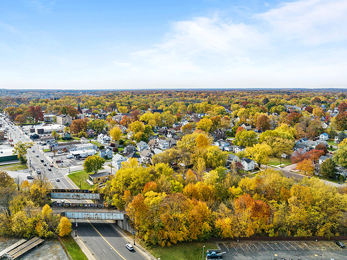 Fall colors transform Niles into nature's masterpiece. Who needs expensive art when your retirement view looks like this?
