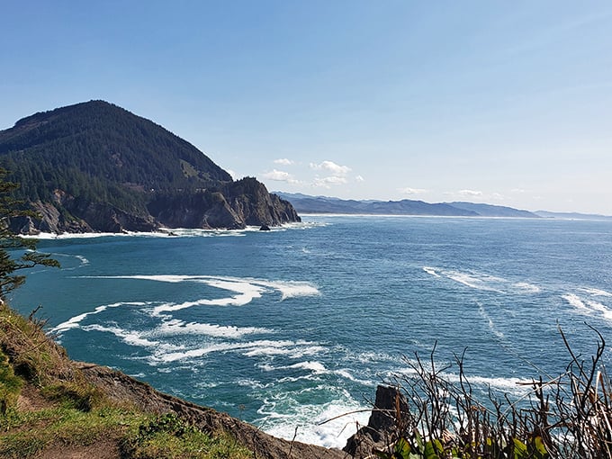 The ocean view from Oswald West could make a smartphone photographer look like Ansel Adams.