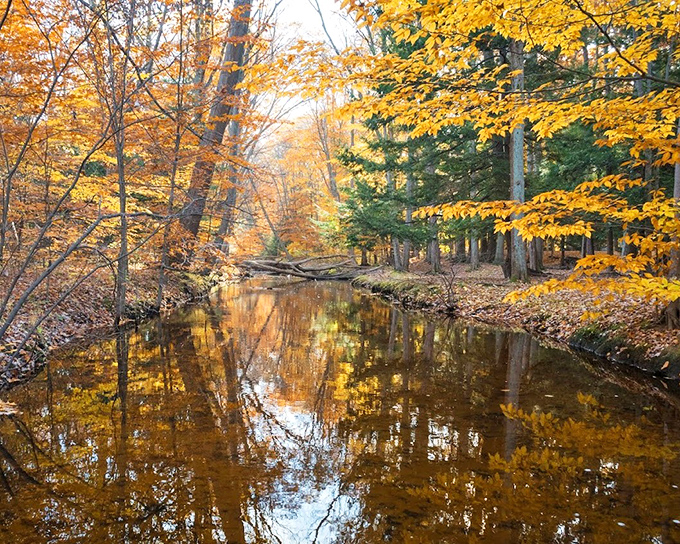 Fall colors reflecting in the water &ndash; nature's way of saying "Look how good I look from every angle!"