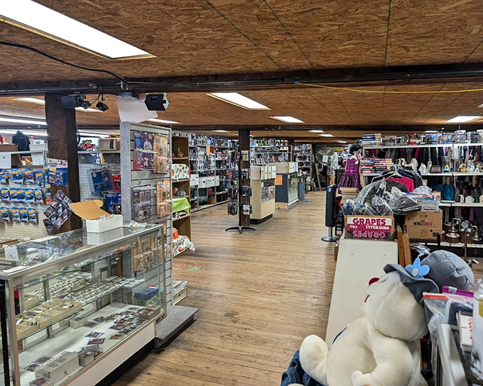 Queen City's rustic wooden interior in Cumberland feels like a time capsule&mdash;glass cases protecting collectibles while stuffed animals stand guard.