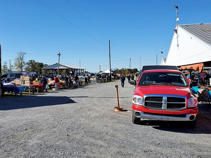 The flea market stretches into the distance under clear blue skies. Pickup trucks and tables loaded with possibilities await discovery.