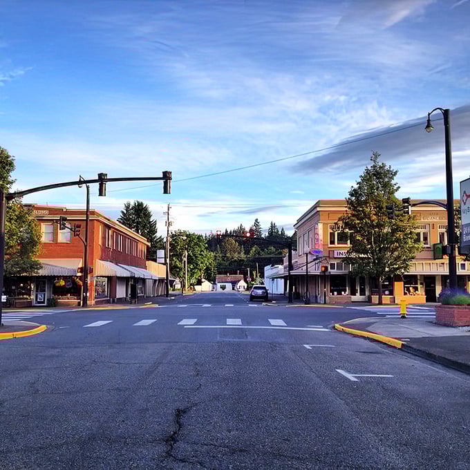 Shelton's business district gleams in the Washington sunshine, promising affordable living with a side of blue skies. Where your retirement dollars bask in the same warmth you do!