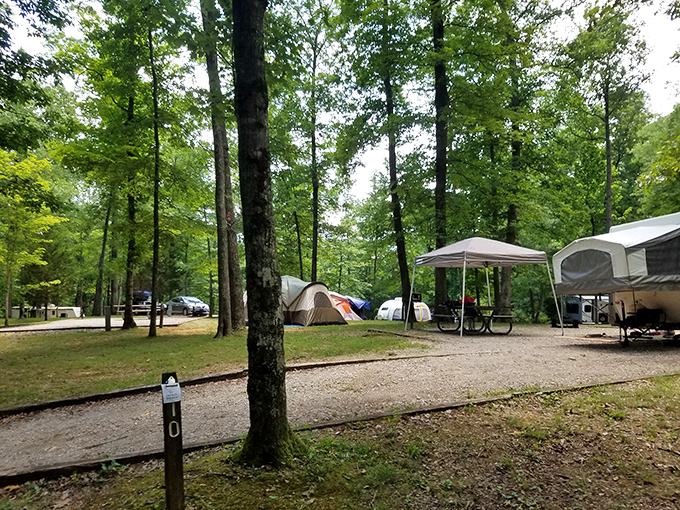 Campers have found their slice of woodland paradise, where the only notifications come from birds announcing the morning.