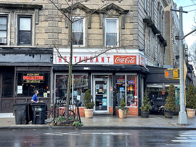 Rain-slicked streets lead to Tom's Restaurant, where breakfast dreams come true regardless of weather. Brooklyn's morning masterpiece!