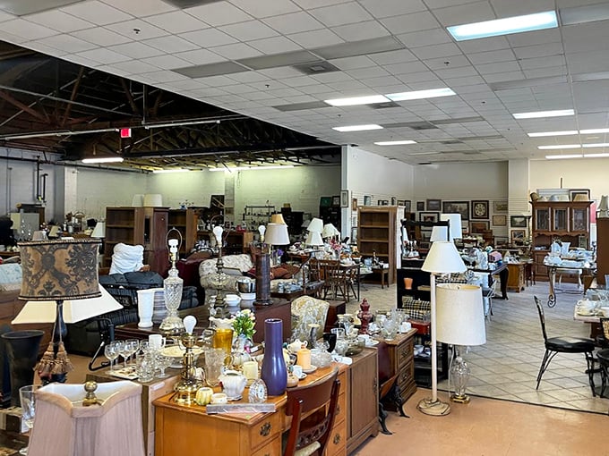 Rows of carefully arranged treasures await - it's like shopping in the world's most organized attic.