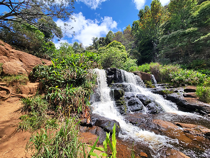 A cascading waterfall adds the perfect accent to Waimea Canyon's majestic landscape. Nature's version of jewelry for an already stunning outfit.