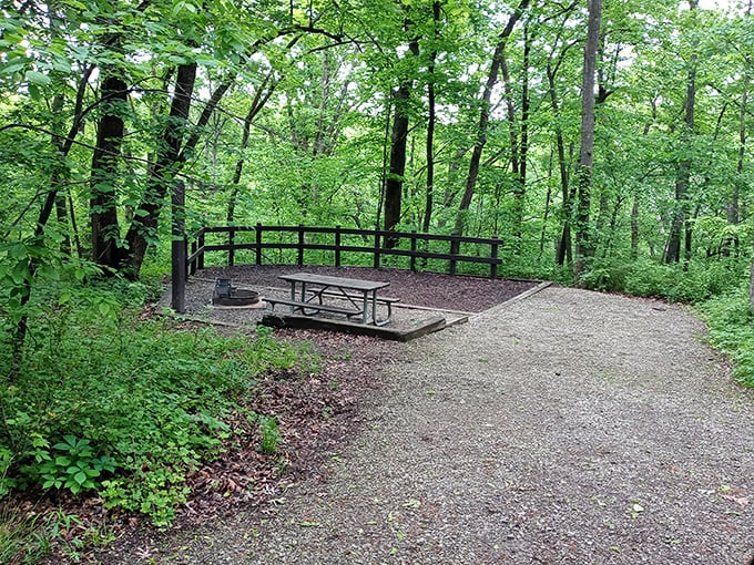 A picnic table with a view! Wallace State Park's camping area offers shade trees and grassy spaces for outdoor living rooms.
