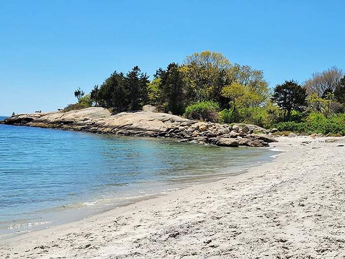 When the beach comes with its own park amenities, you know someone was thinking ahead about perfect days.