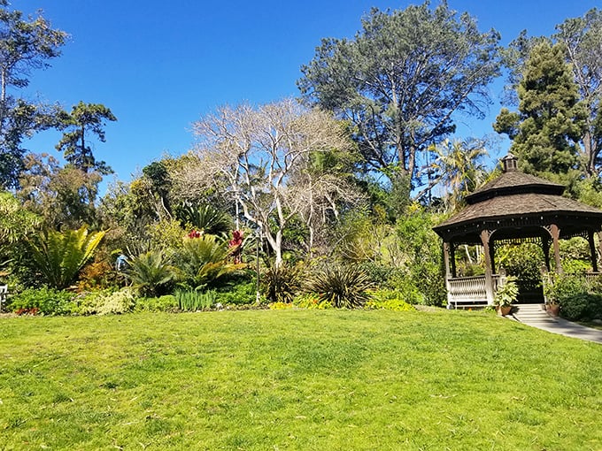 Classic garden gazebo surrounded by California-friendly plantings&mdash;proof that "lawn alternatives" can look better than the real thing.