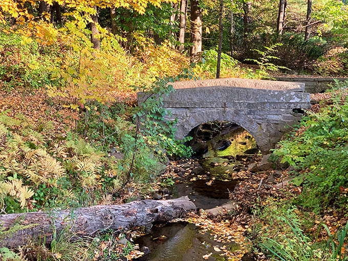 Stone bridges like this whisper tales of Farmington's past, while providing Instagram-worthy backdrops that would make any filter jealous.