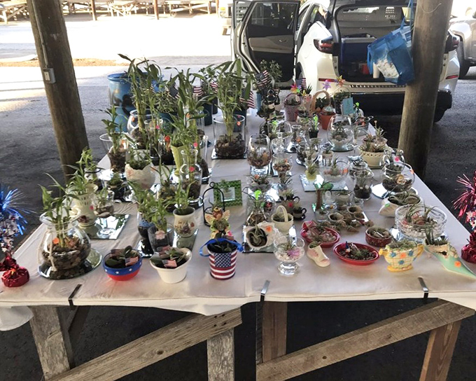 Tiny terrariums tell big stories. These miniature gardens-in-glass offer apartment dwellers a chance to bring nature indoors without the commitment of a full-sized ficus