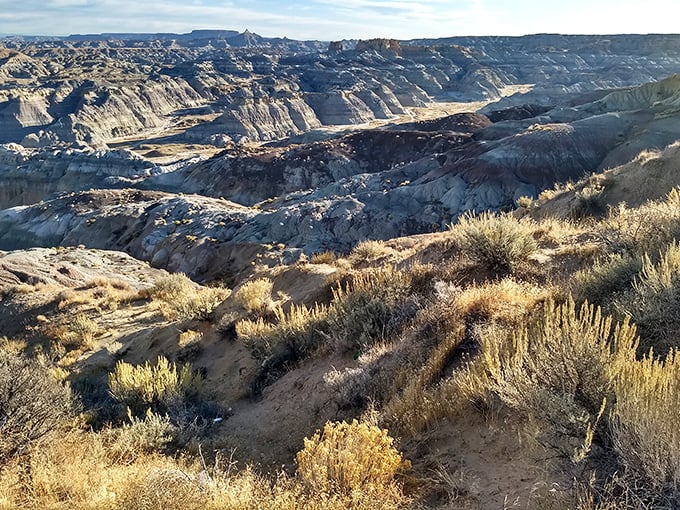 Nature's grand sculpture garden stretches to the horizon at Angel Peak Badlands. These formations have been perfecting their pose for millions of years.