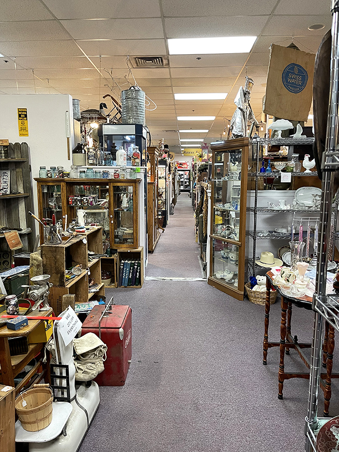Treasure hunting requires patience. Each aisle offers a different adventure, with glass cases protecting smaller valuables while larger finds stand proudly on display.