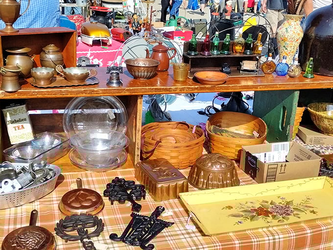 Copper, brass, and memories shine under the Wisconsin sun. Each piece tells a story of dinner parties past and cocktail hours forgotten.