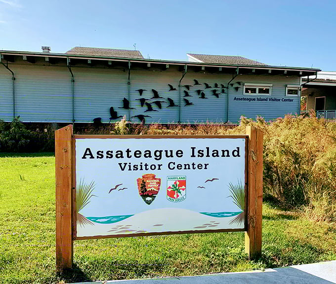 The Assateague Island Visitor Center &ndash; your gateway to wild ponies and pristine beaches that make retirement feel like a permanent vacation.