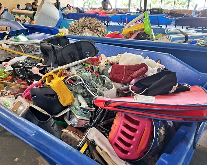 Dive into these blue lagoons of miscellany where yesterday's discards become tomorrow's discoveries. The thrill of the hunt is palpable.