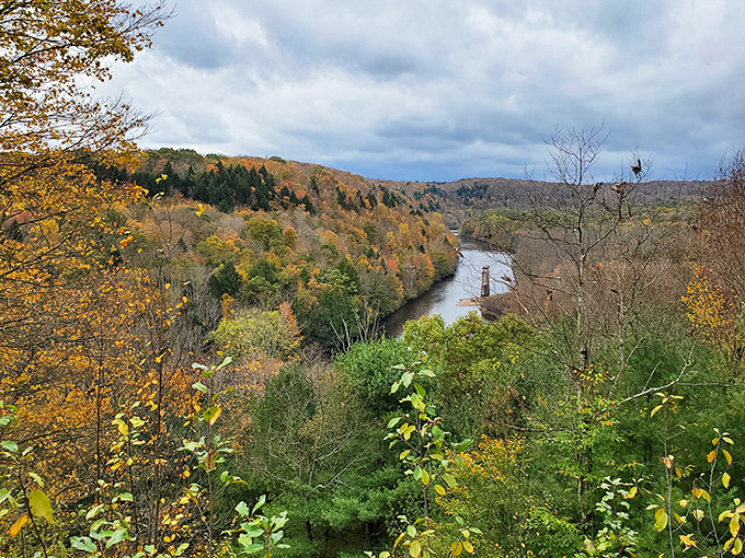 Autumn in the Poconos isn't just a season&mdash;it's a masterclass in color theory. Mother Nature showing off her graduate work.