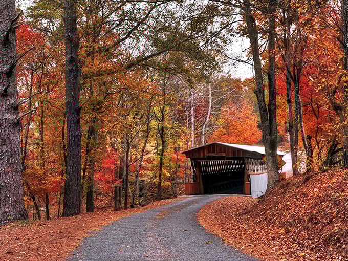 Mother Nature showing off her autumn wardrobe around the bridge&mdash;talk about dressing for the occasion!