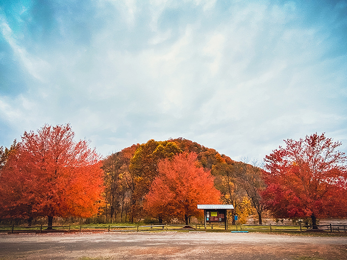 Fall fashion at its finest&mdash;those fiery maples dressed to impress against a perfect blue sky. Mother Nature showing off again.