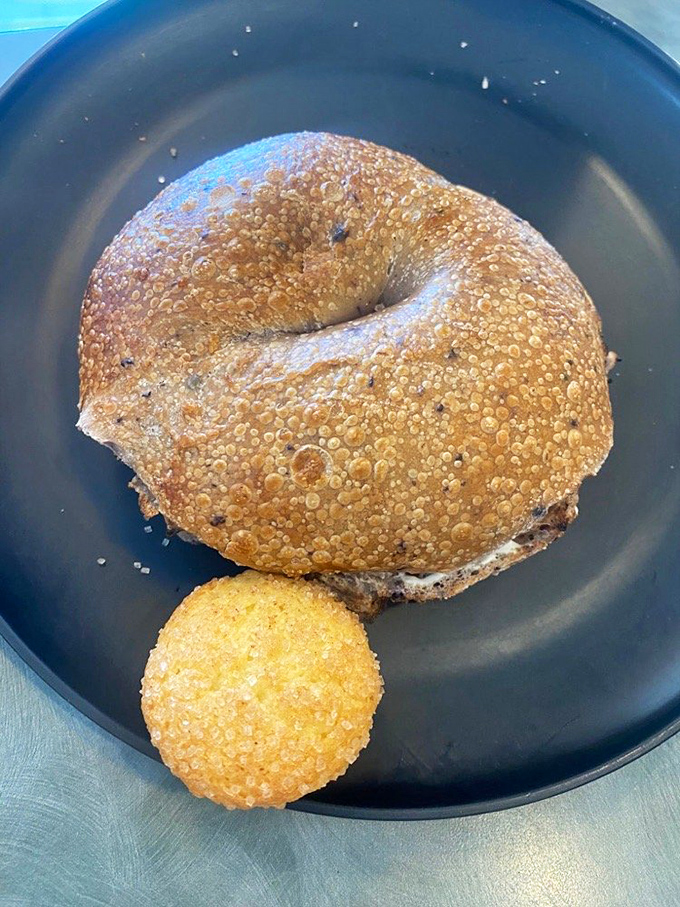 Behold the everything bagel in its natural habitat&mdash;golden, seed-speckled perfection that would make even New Yorkers nod in approval