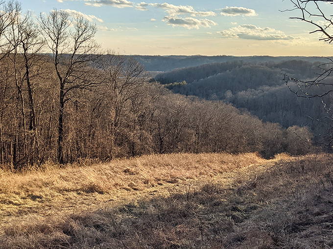 The rolling Appalachian foothills unfold like nature's own theater, offering a peaceful vista that reminds you why they call this region "America's undiscovered Alps."