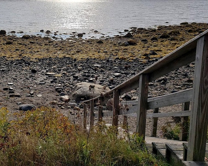 Low tide reveals the rocky shoreline's secrets, turning the beach into an all-access backstage pass to marine life.