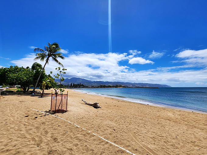 Golden sands meet crystal waters at this North Shore beach, where paradise isn't just a postcard—it's your afternoon plan.