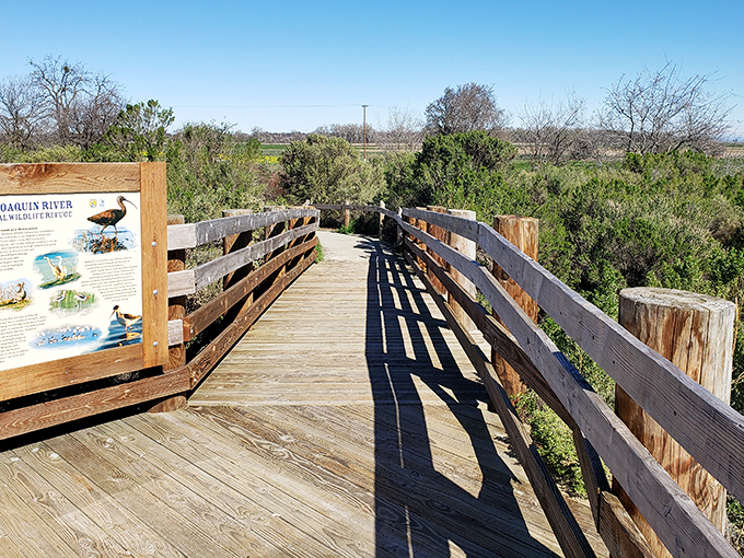 Nature doesn't charge admission at the Beckwith Wildlife Observation Area, where wooden walkways lead to priceless moments of Central Valley serenity.
