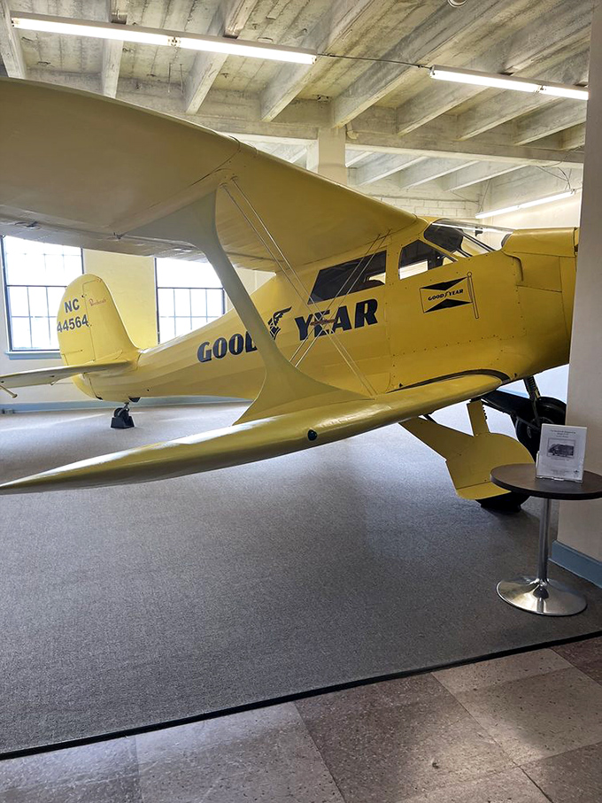 The bright yellow Goodyear aircraft practically screams "adventure!" Like a taxicab with wings, this vintage beauty reminds us when flying was less about legroom complaints and more about pure wonder.