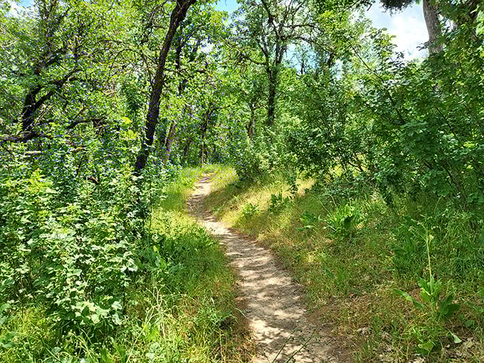 Nature's therapy session &ndash; Jacksonville's woodland trails wind through sun-dappled oak forests, offering the perfect excuse to put away your phone.