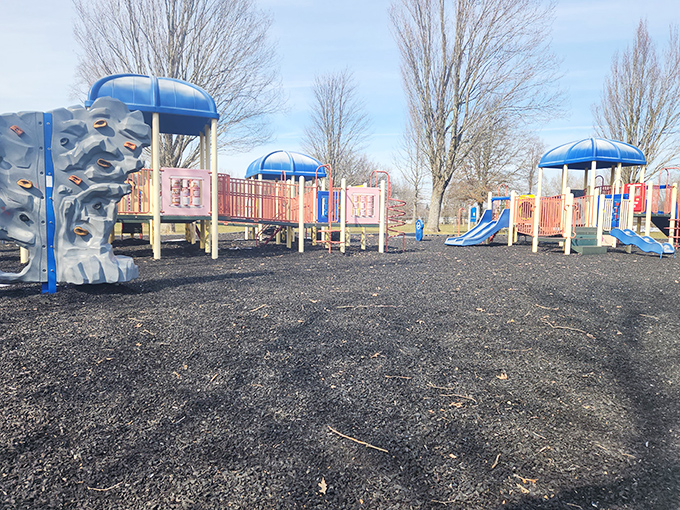 Community parks that understand the assignment: green space, play equipment, and benches positioned for optimal grandkid-watching.