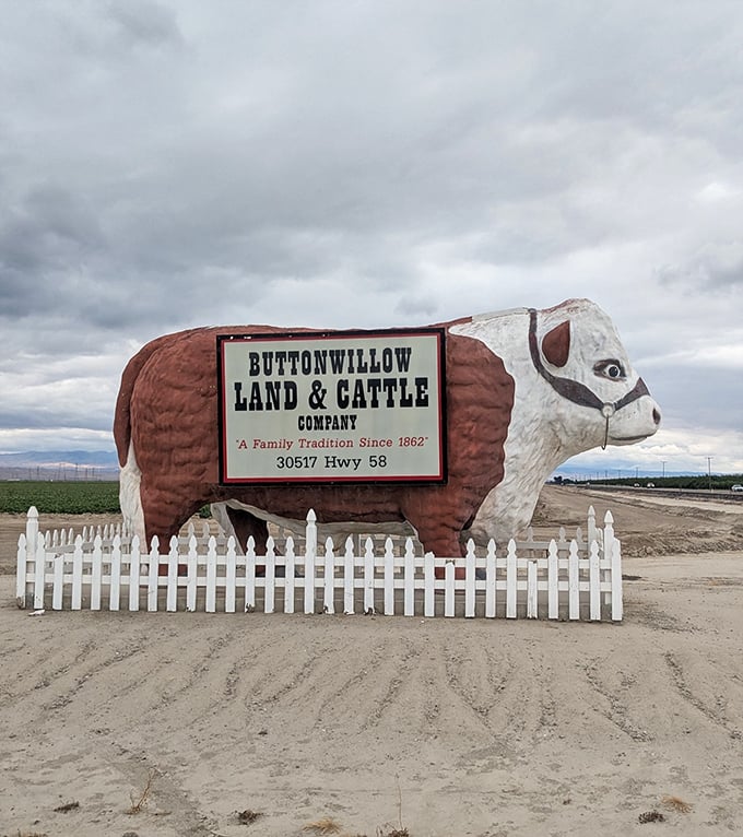 Even on overcast days, Otis maintains his stoic presence. The dramatic clouds only add to his monumental stature.