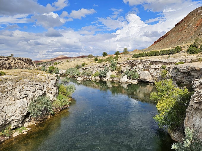 The Bighorn River carves its path through ancient rock, a liquid highway that's been commuting through Wyoming long before rush hour was invented.