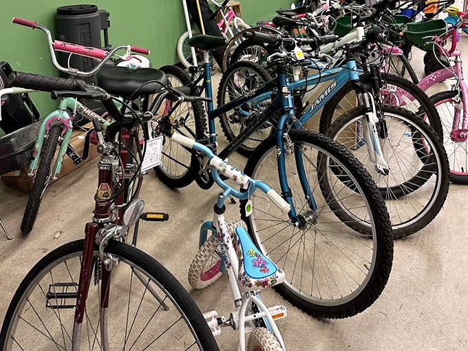 Wheels of fortune! From vintage cruisers to kids' first bikes, this collection proves one person's outgrown hobby is another's new adventure.