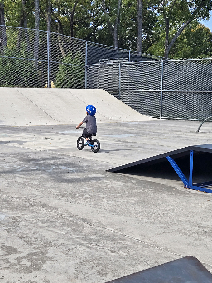 Future X Games champion or just enjoying childhood freedom? Lewisburg's skate park offers thrills for riders of all ages.