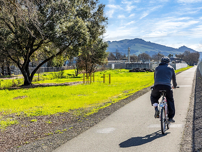 Miles of well-maintained bike paths connect Santa Rosa's neighborhoods to natural areas, making two-wheeled transportation a pleasure rather than a chore.